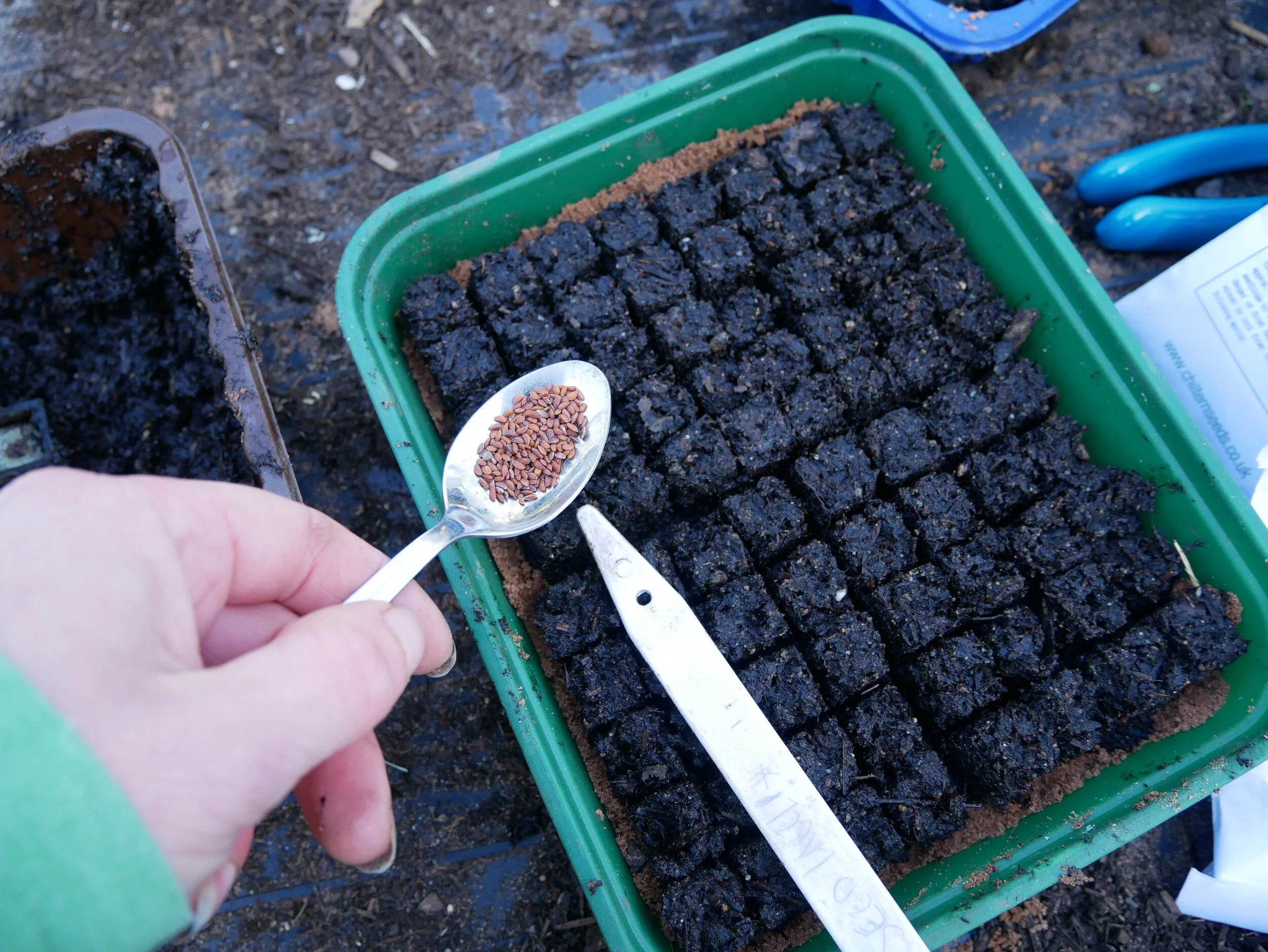 How to Use Soil Blockers for Better Seed Starting and Sowing
