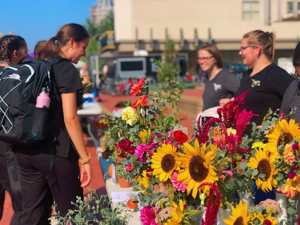 Floral Design College: Where to Get a Floristry Degree