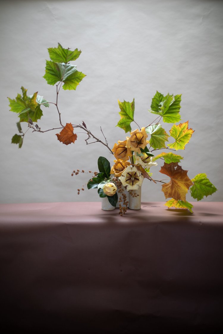 Rediscovering Flowers with Studio Mondine