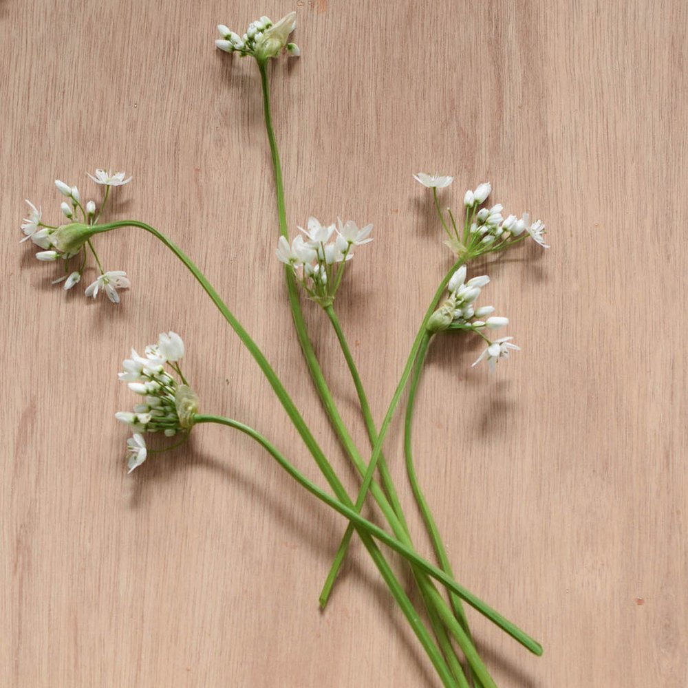 Creating Functional Flower Recipes for More Efficient Ordering