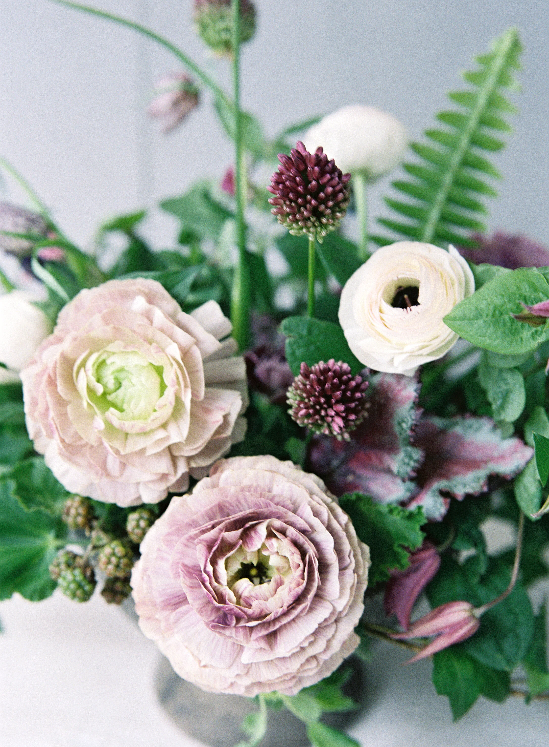 Flower Frogs: Your Complete Guide on How to Use—and More