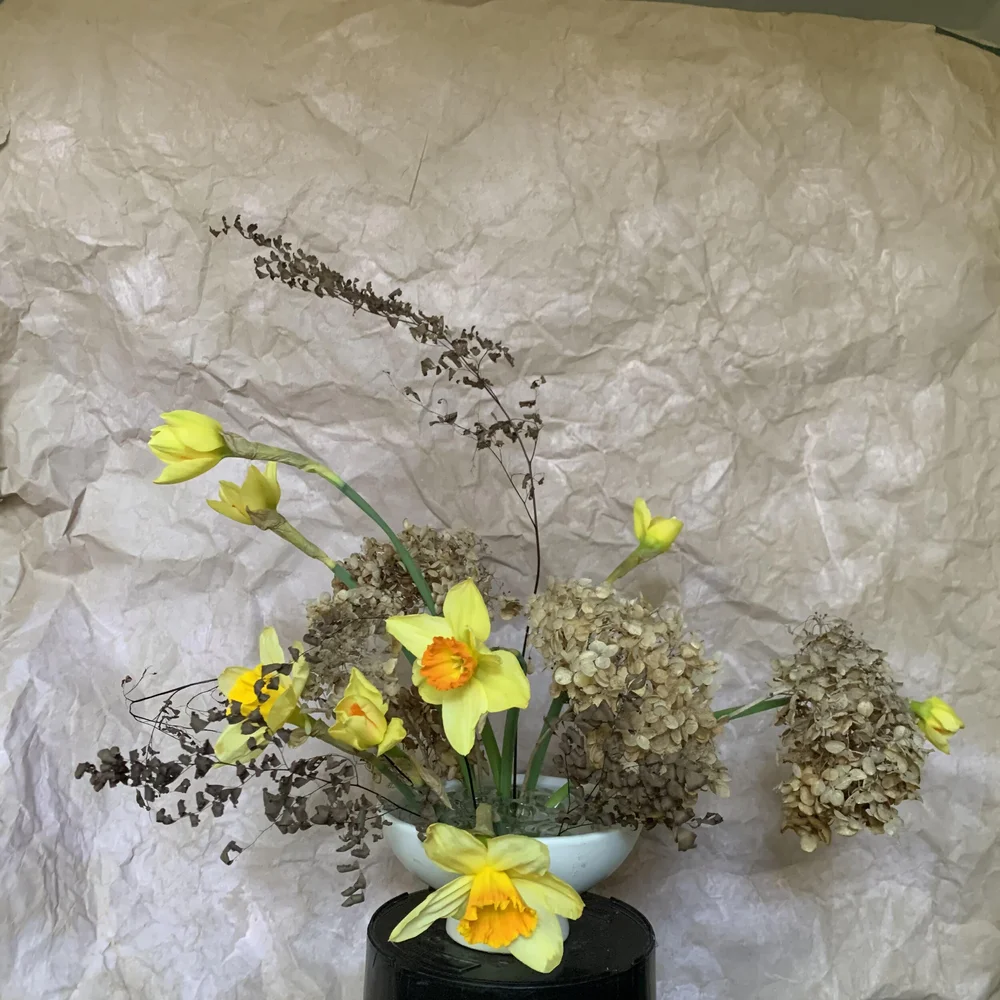 Foraging for Flowers and Greenery Through the Seasons