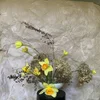 Foraging for Flowers and Greenery Through the Seasons