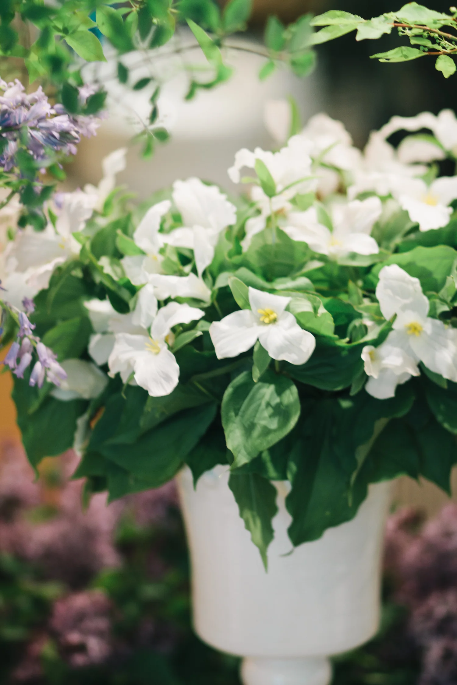 Advice from Real-Life Flower Farmers: Part 1