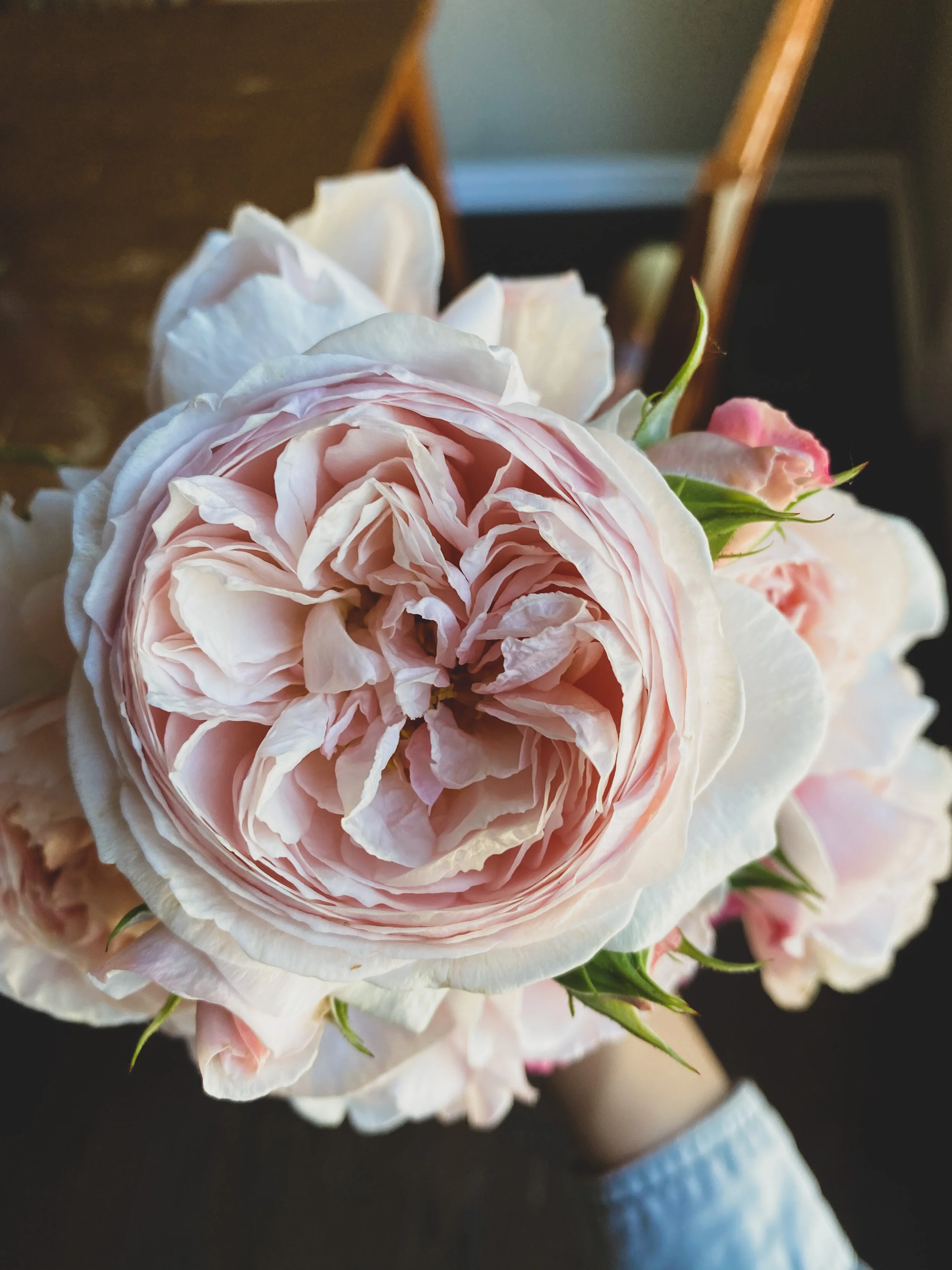 Growing Garden Roses as a Summer-Long Staple for Floral Design