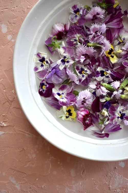 How to Prepare Edible Flowers for Cakes, Desserts, and More!