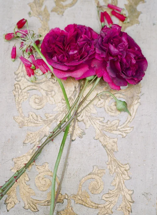Well-Loved Flower Substitutions for Popular Blooms