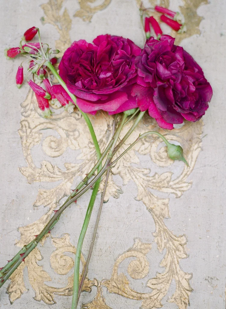 Well-Loved Flower Substitutions for Popular Blooms