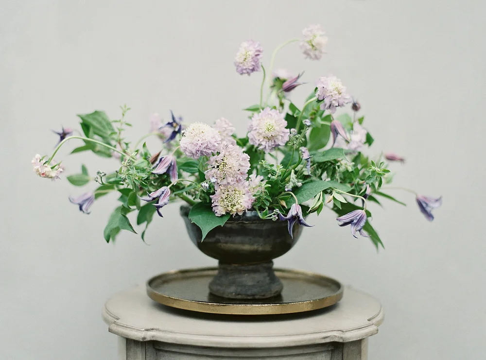 Well-Loved Flower Substitutions for Popular Blooms