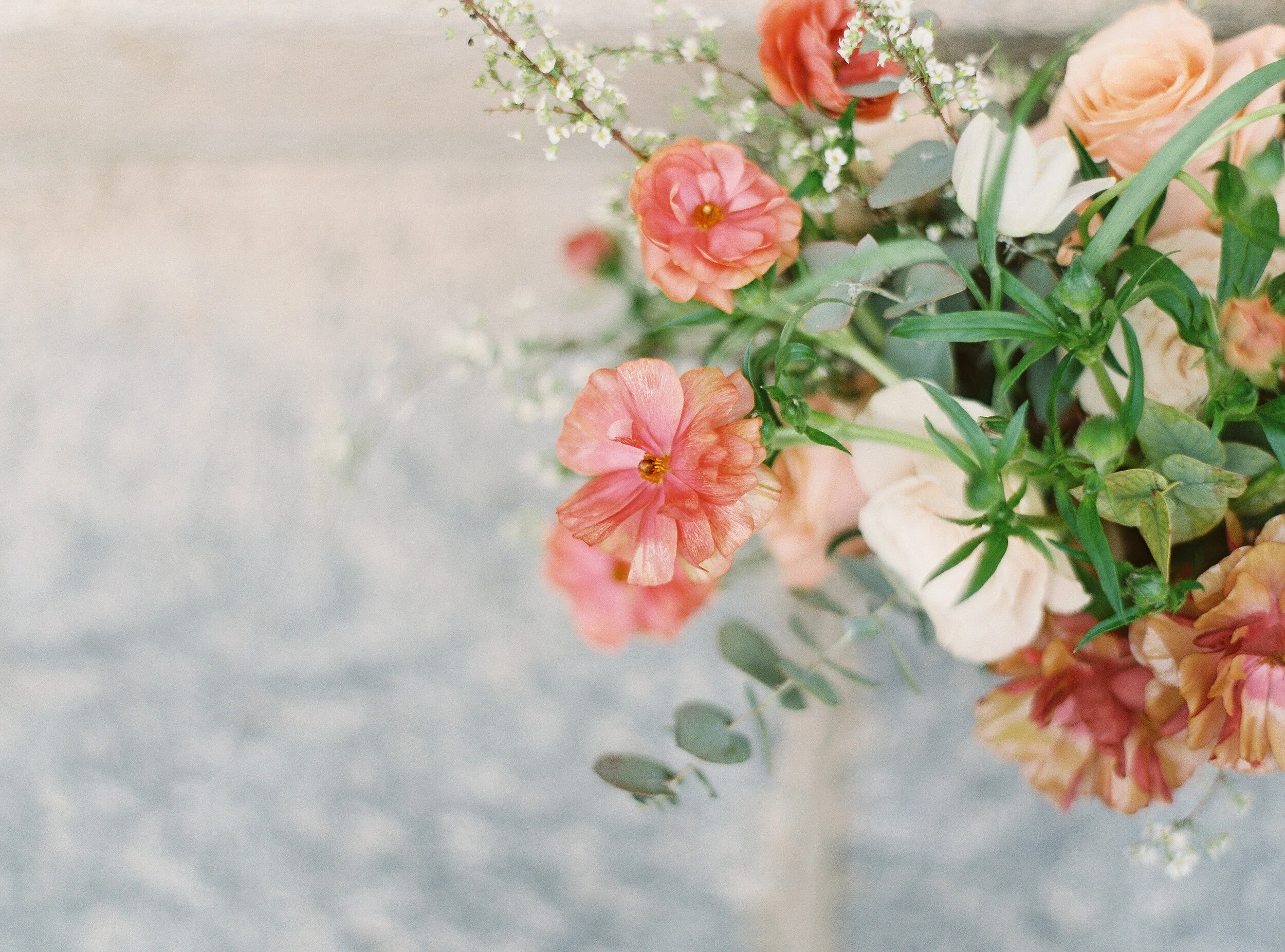 Well-Loved Flower Substitutions for Popular Blooms