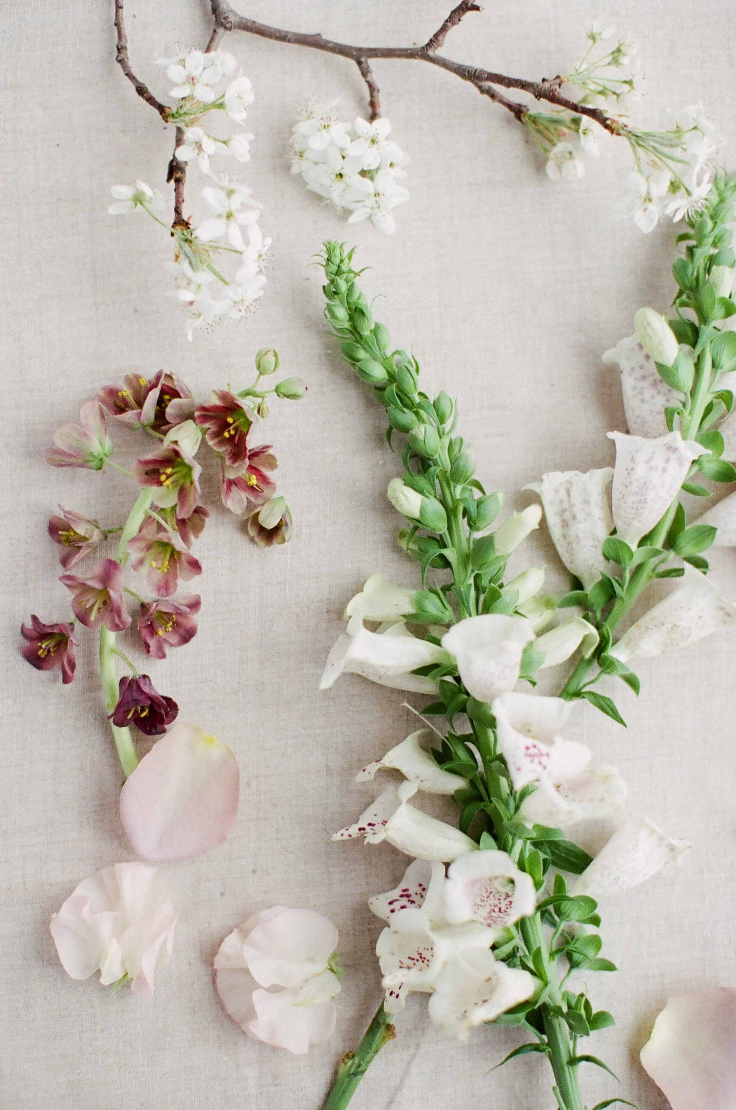 Well-Loved Flower Substitutions for Popular Blooms
