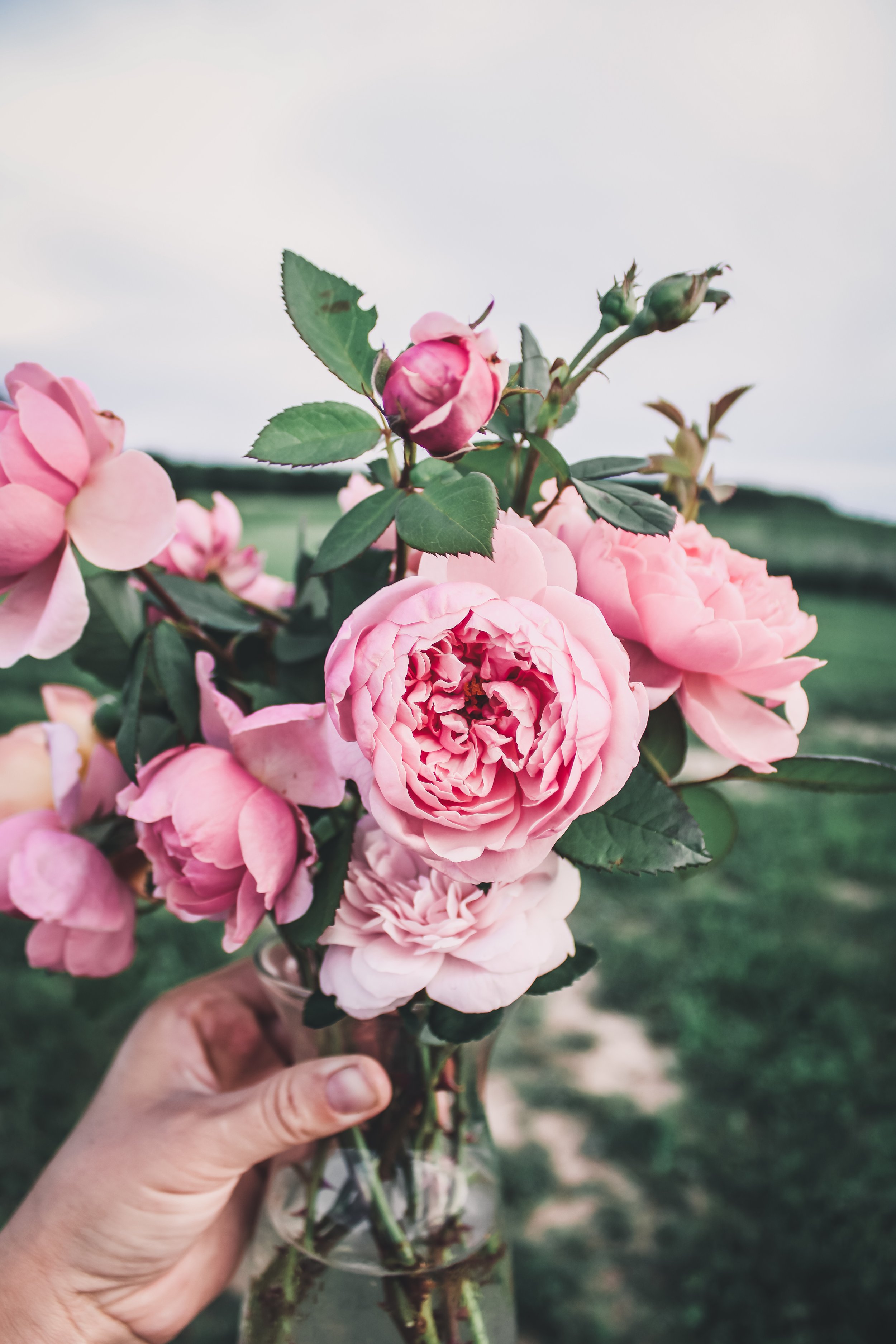 Tips for Seed Saving with Basket of Flowers Farm