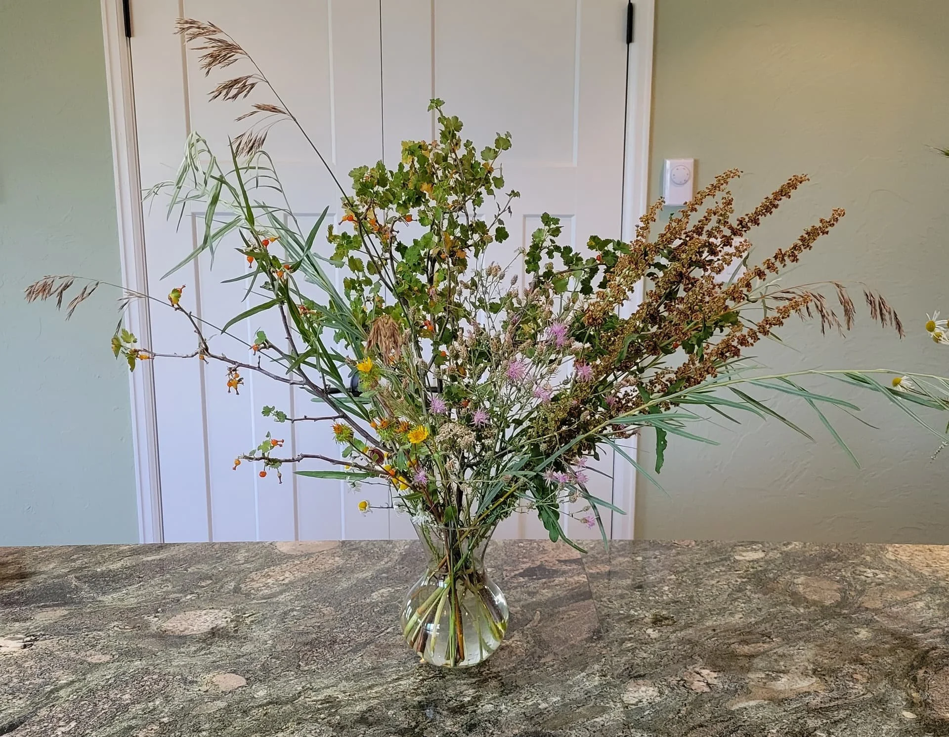 Unique Flowers for Dried Stem Production