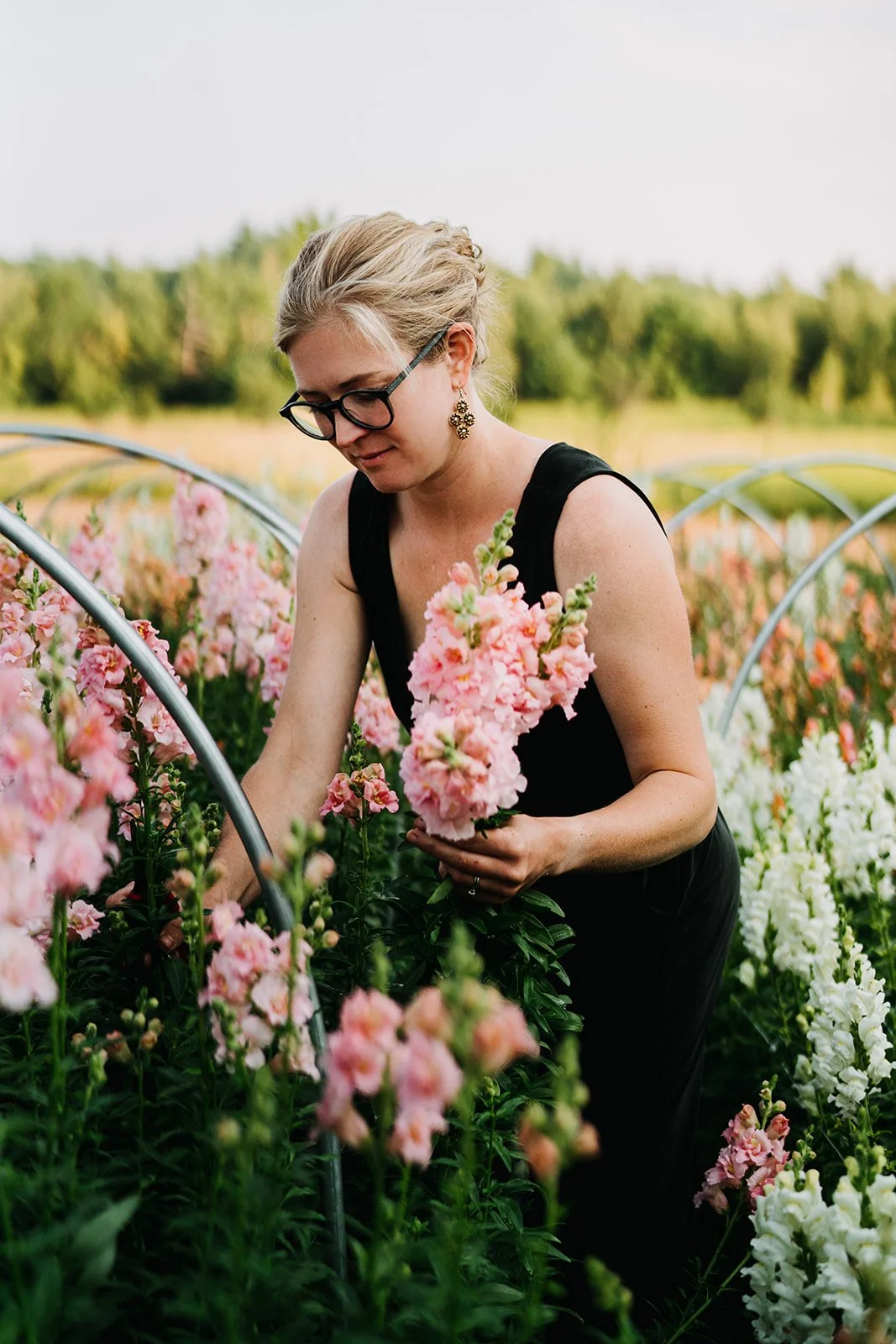 The Details of Sustainable Flower Farming with Little Farmhouse Flowers