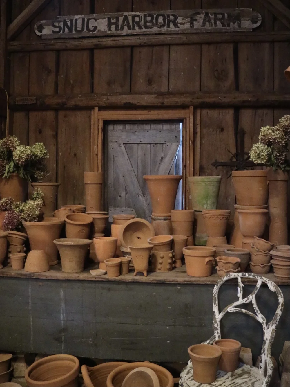 Top Tips for Growing Cut Flowers in Containers