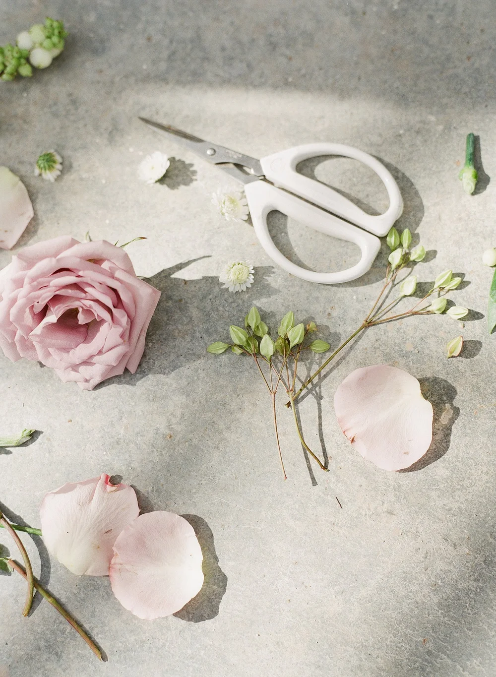 What Is TeamFloral? Should You Use Them If You're a Floral Pro?