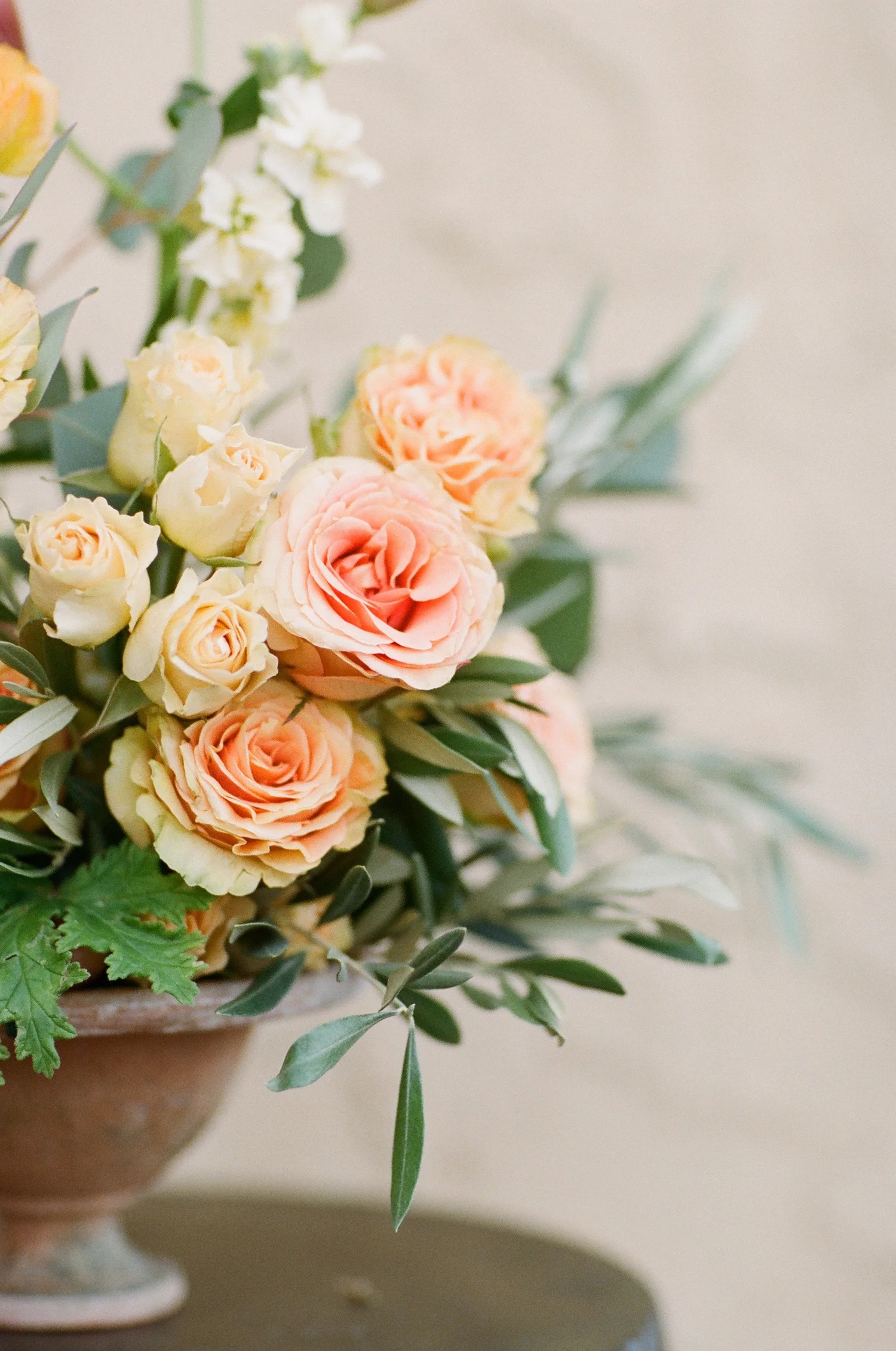 How to Easily Manage Your Floral Recipes
