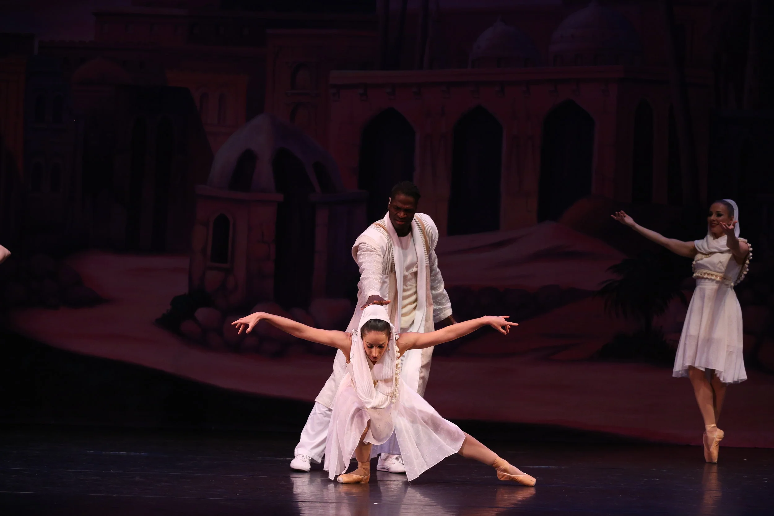 Outreach — Ballet Fantastique