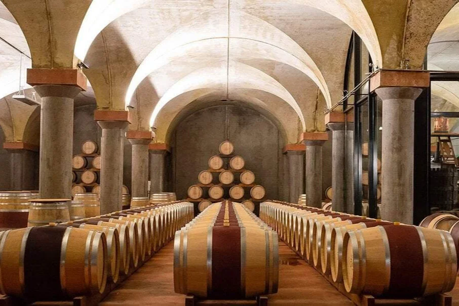 Wine producers in Ticino by Pamela Pintus — Wetag Journal