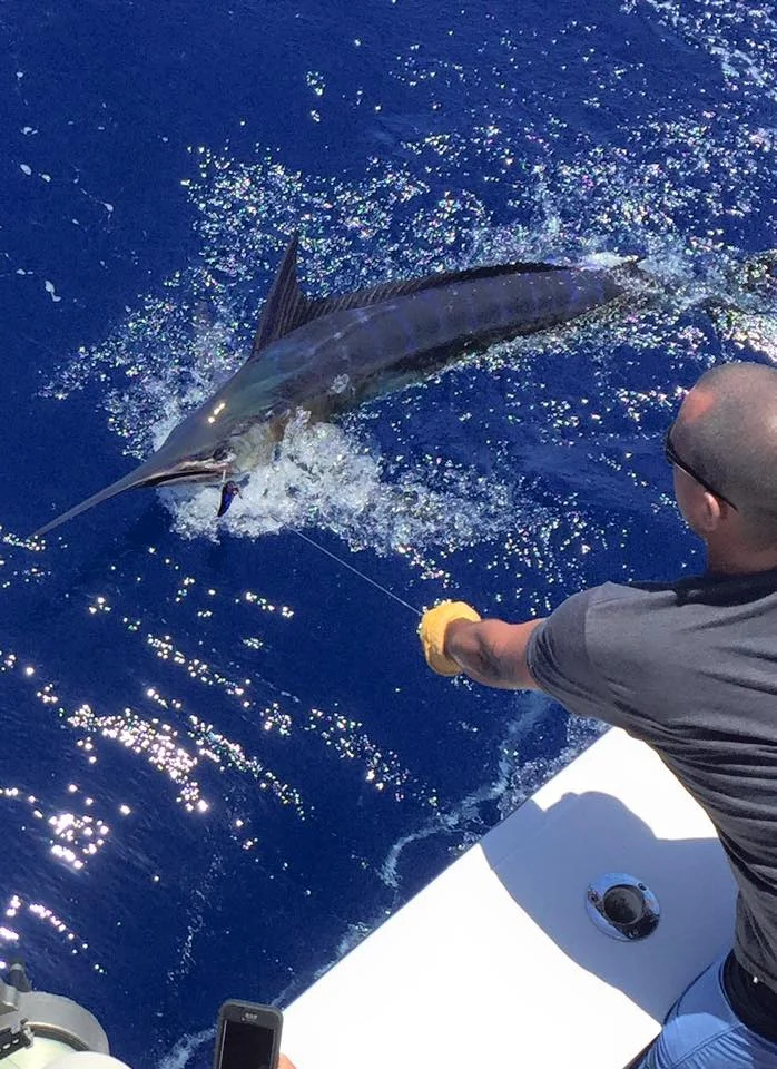 Stuart's Premier Offshore Luxury Fishing Charter