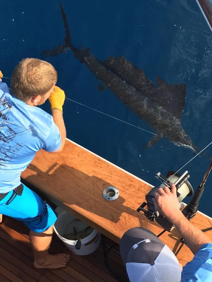 Stuart's Premier Offshore Luxury Fishing Charter