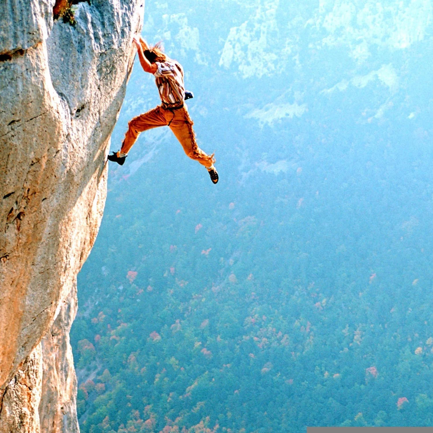 Little Octopus Climbing Over A Rock