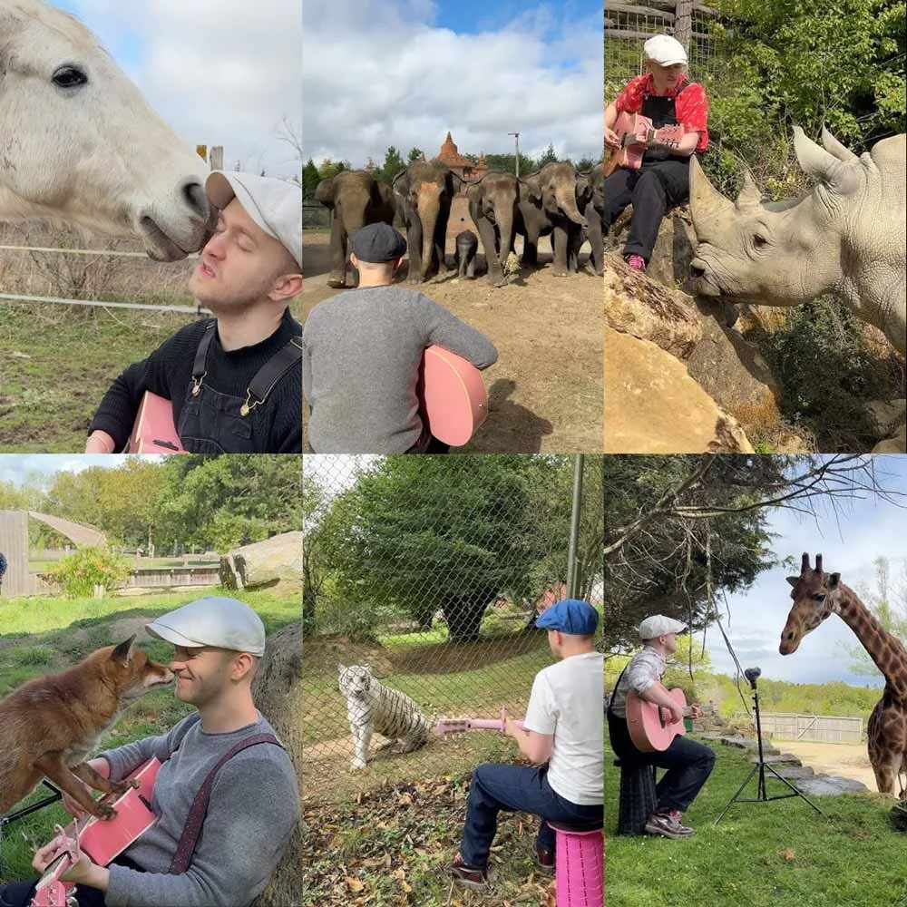 Animals & The Healing Power of Music — The Creative Process