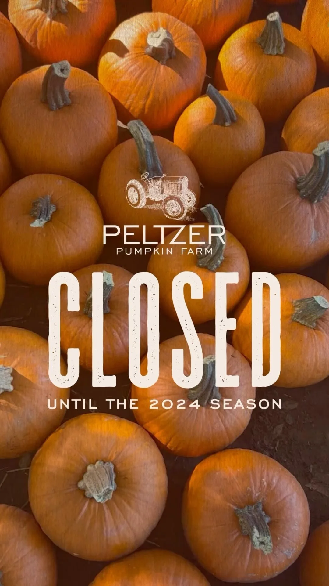 Peltzer Pumpkin Farm