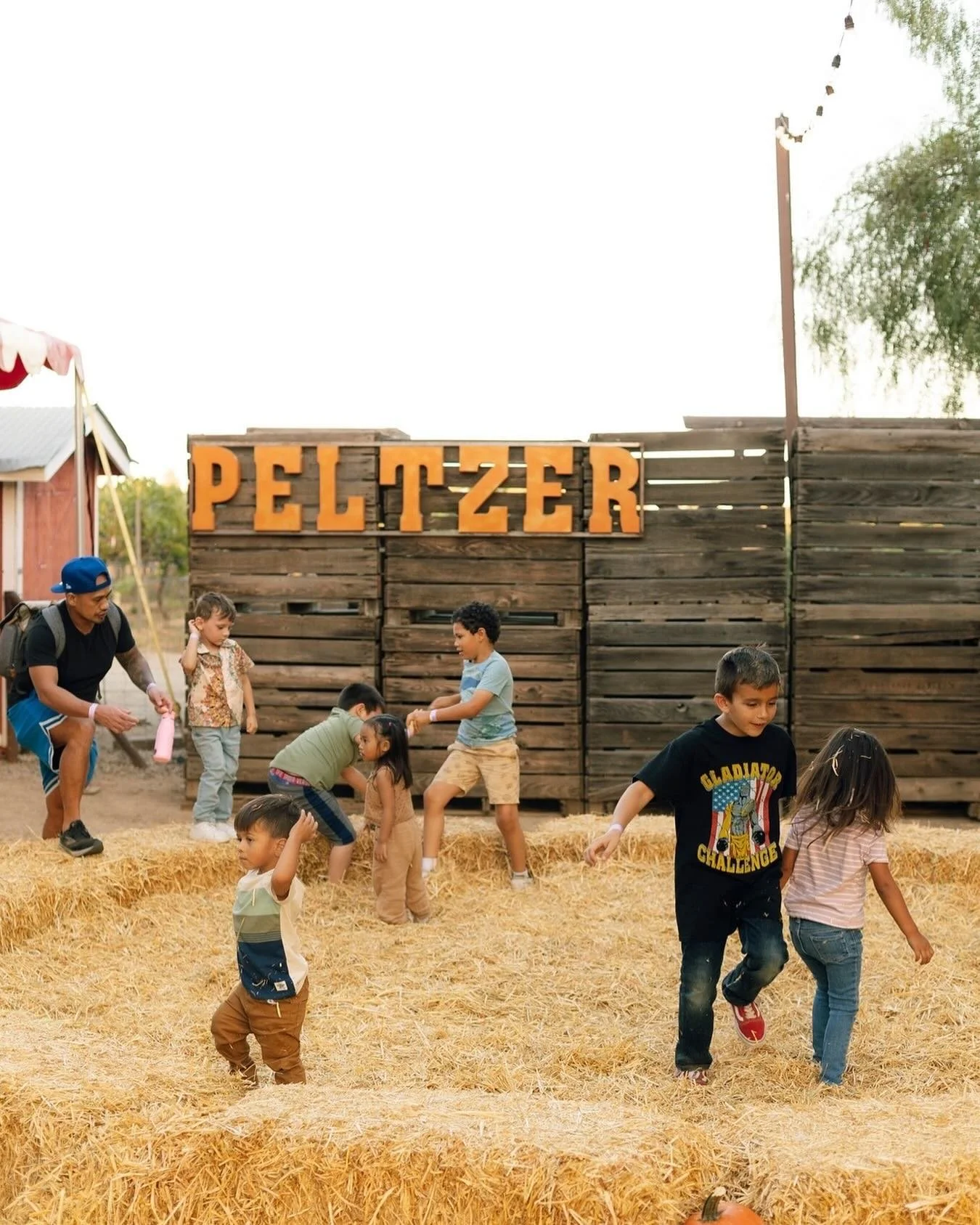 Peltzer Pumpkin Farm