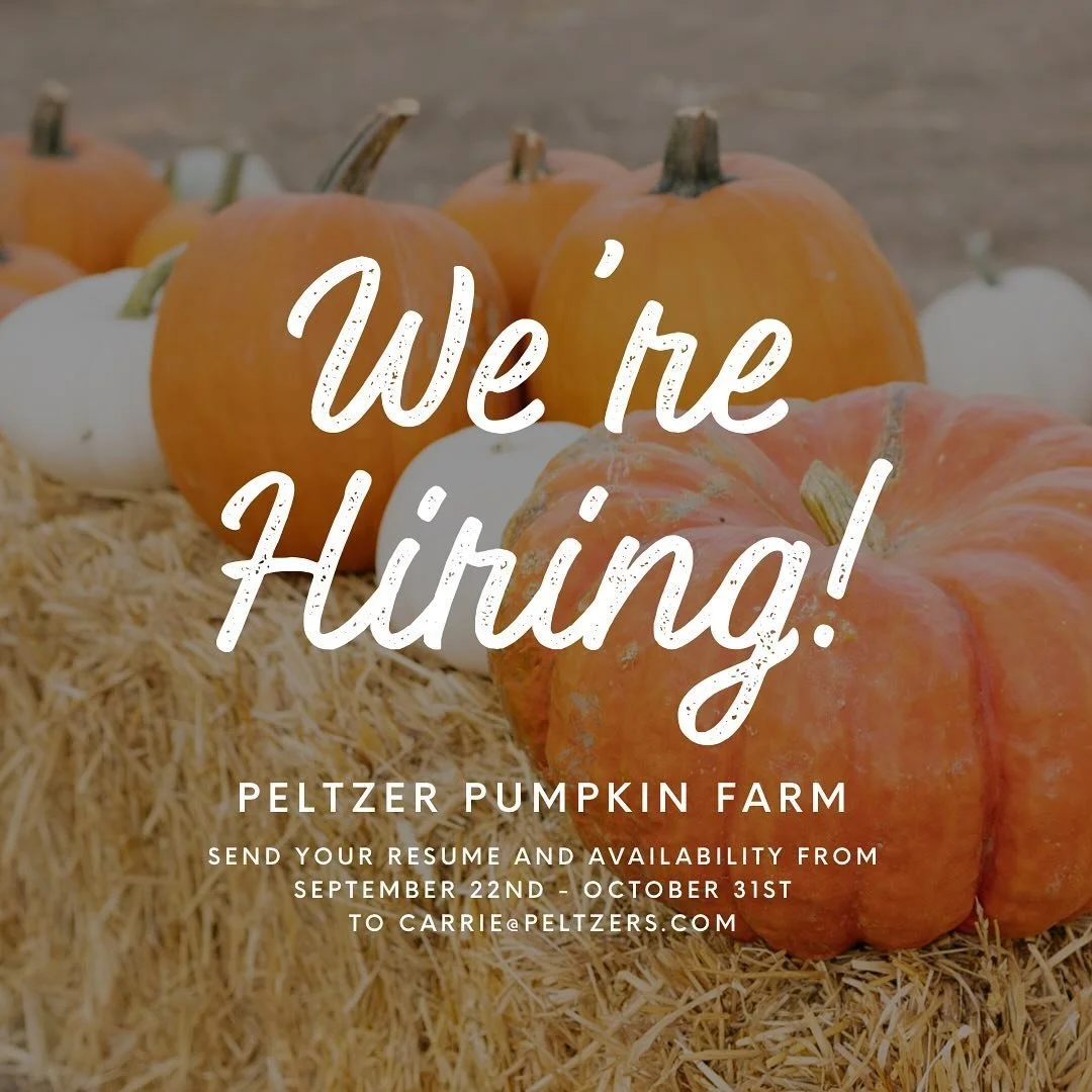 Peltzer Pumpkin Farm