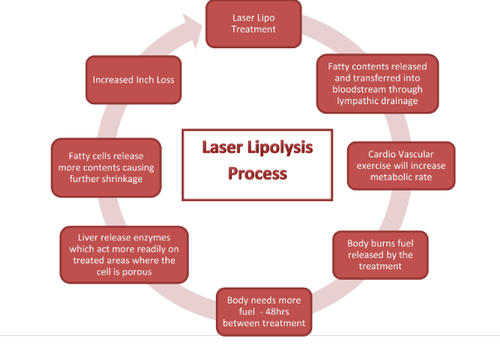 COLD LASER LIPOSUCTION — Estevan Laser Health Clinic