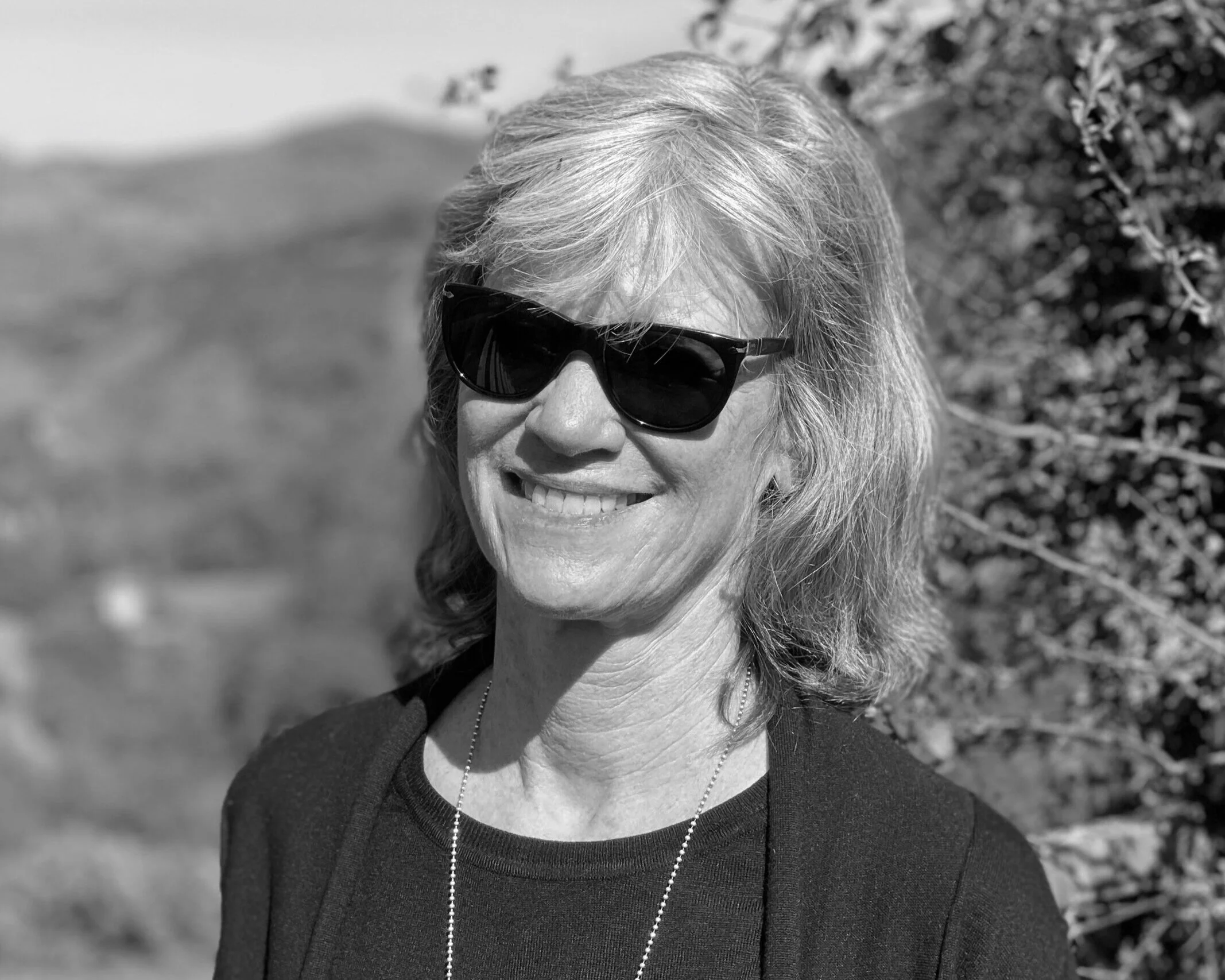 ABOUT — The Video Consortium