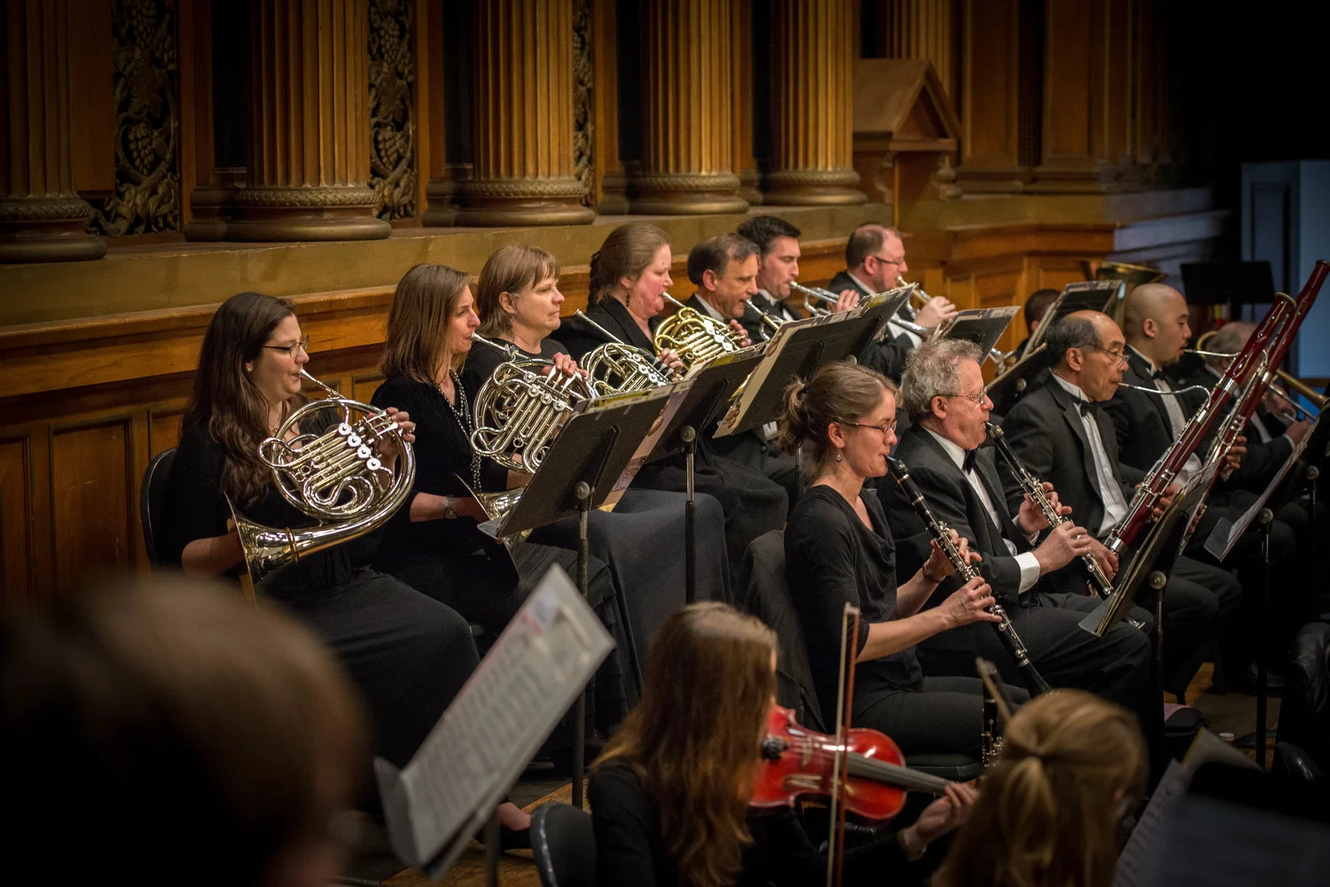 Musicians — Melrose Symphony Orchestra