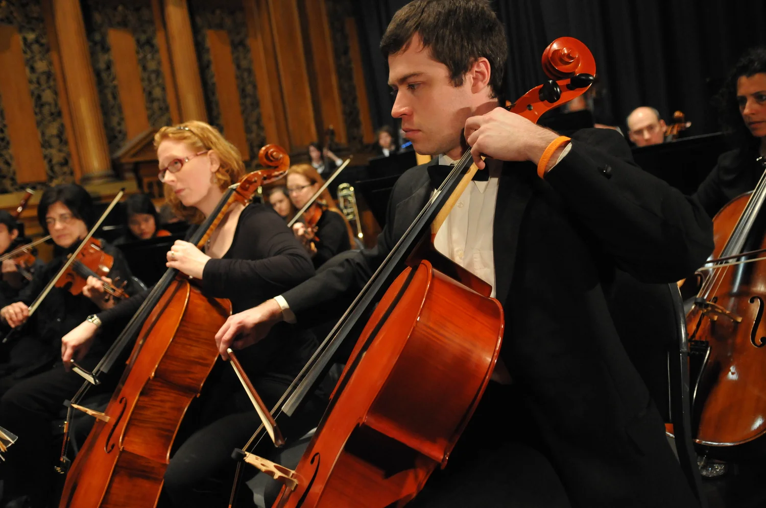 Musicians — Melrose Symphony Orchestra