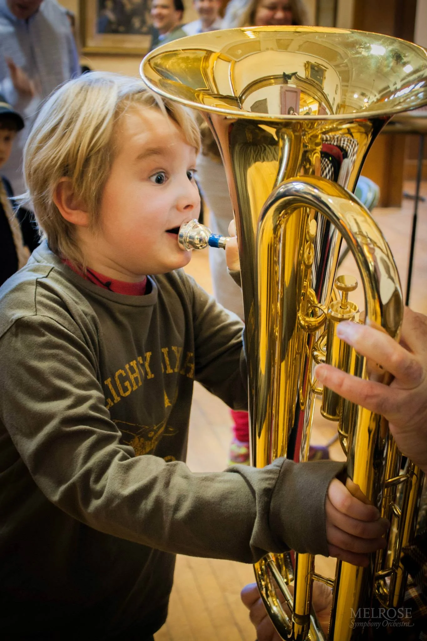 Melrose Symphony Orchestra