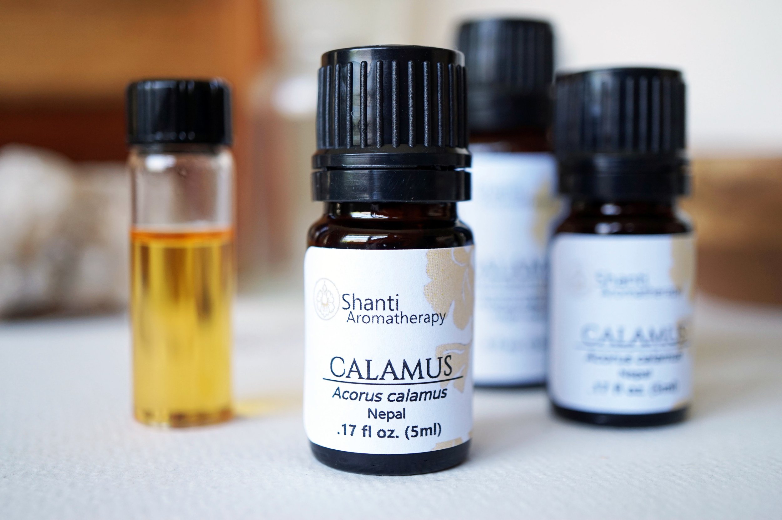 Calamus Essential Oil — Shanti Aromatherapy