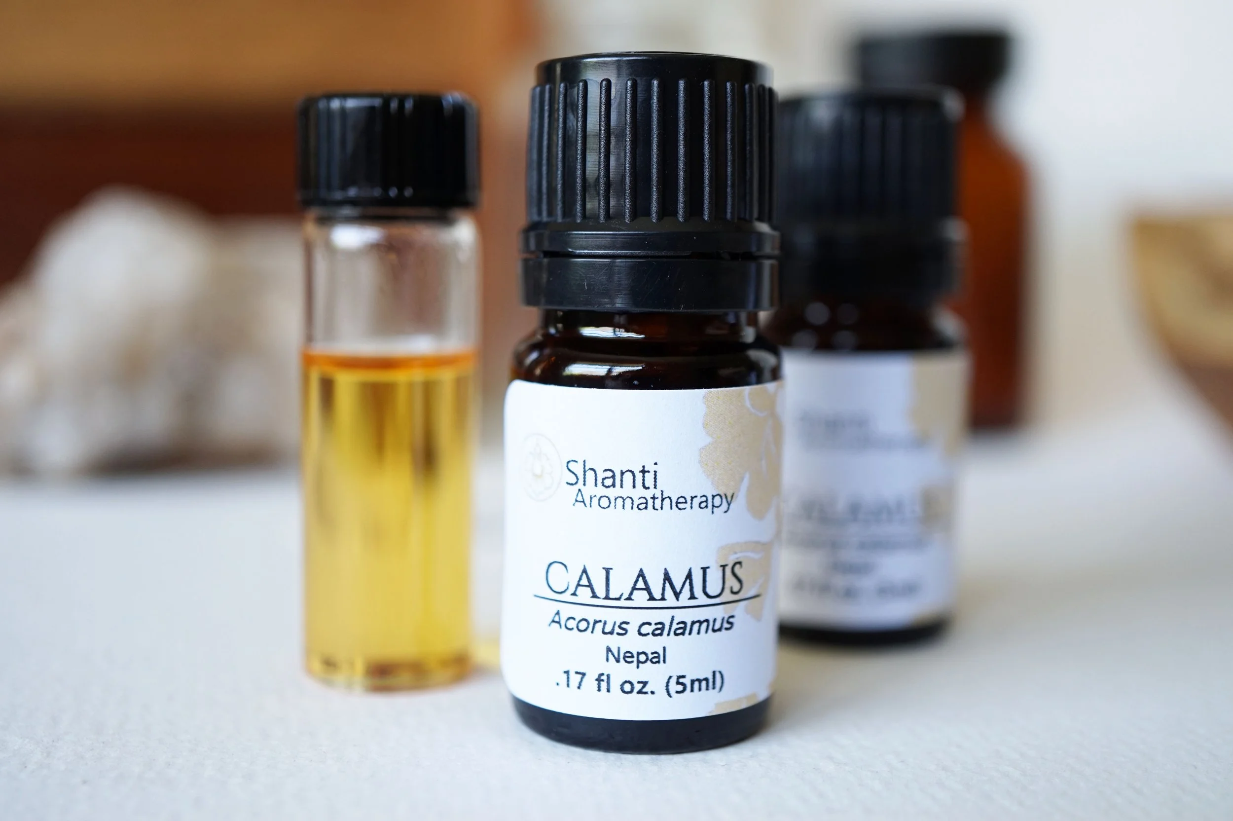 Calamus Essential Oil — Shanti Aromatherapy