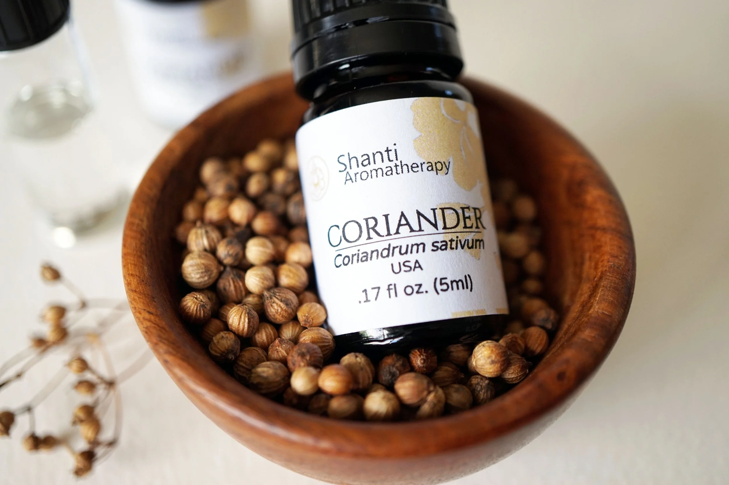 Coriander Essential Oil — Shanti Aromatherapy