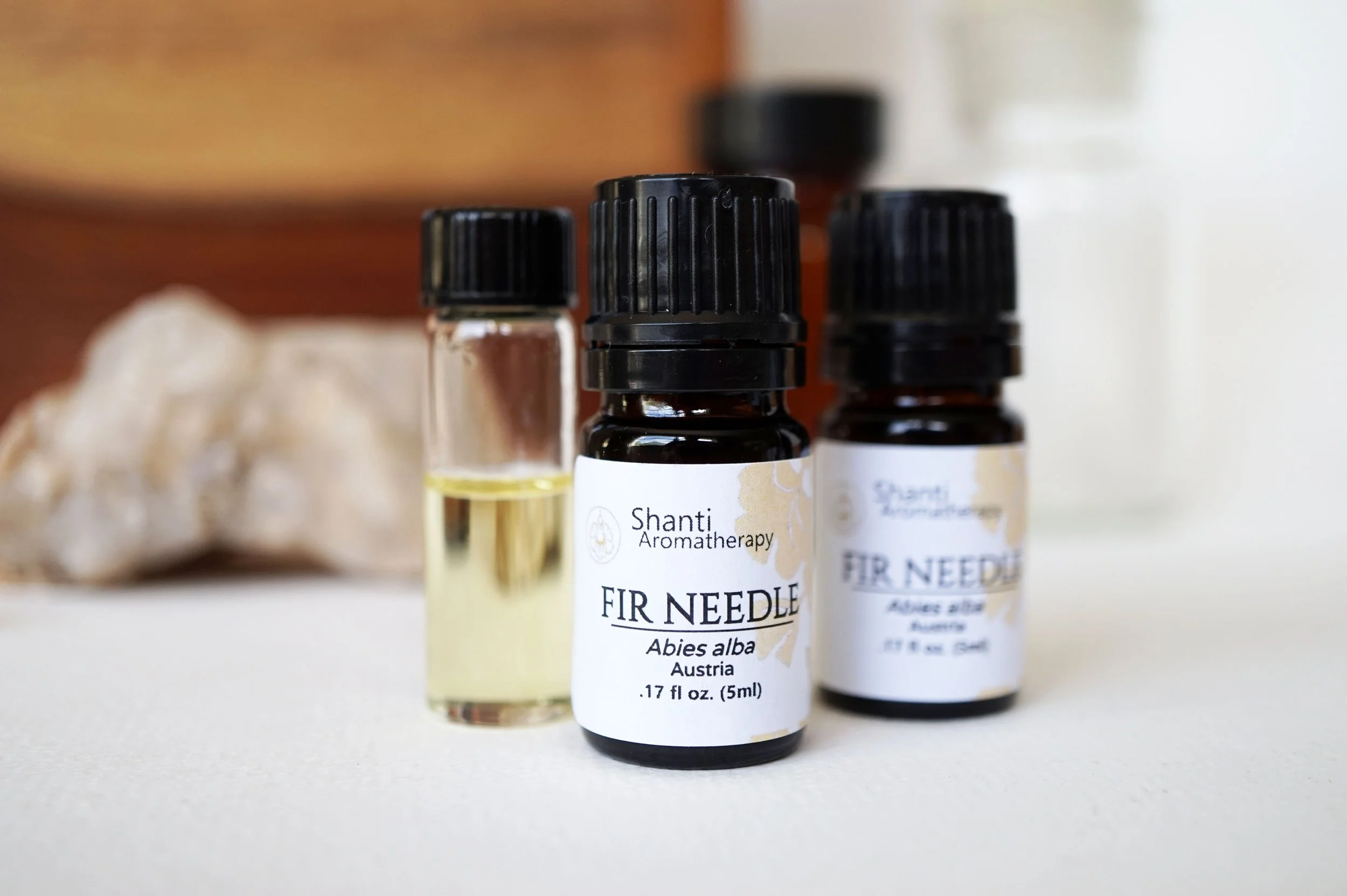 Fir Needle Essential Oil - White Fir — Shanti Aromatherapy