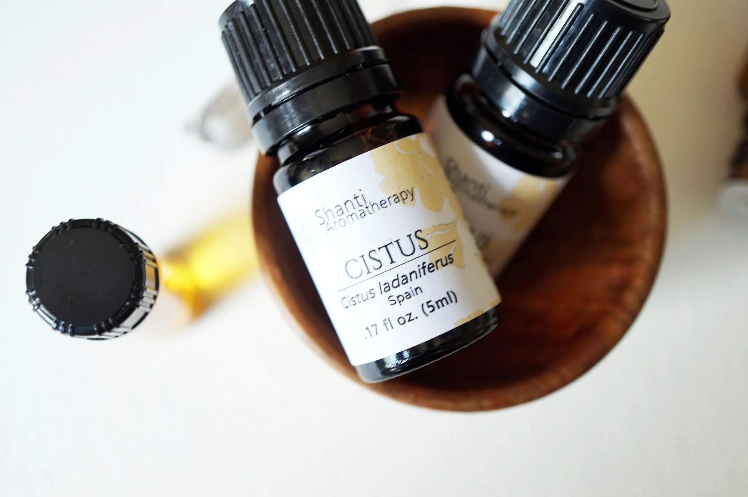 Cistus Essential Oil - Cistus ladaniferus — Shanti Aromatherapy