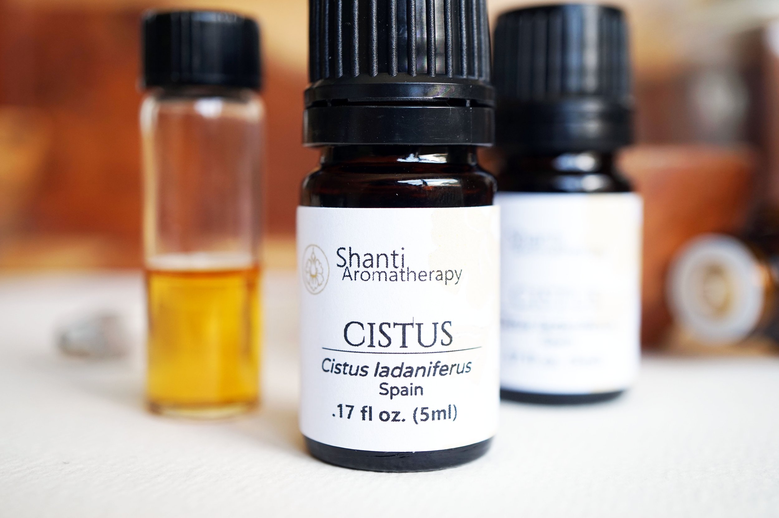 Cistus Essential Oil - Cistus ladaniferus — Shanti Aromatherapy