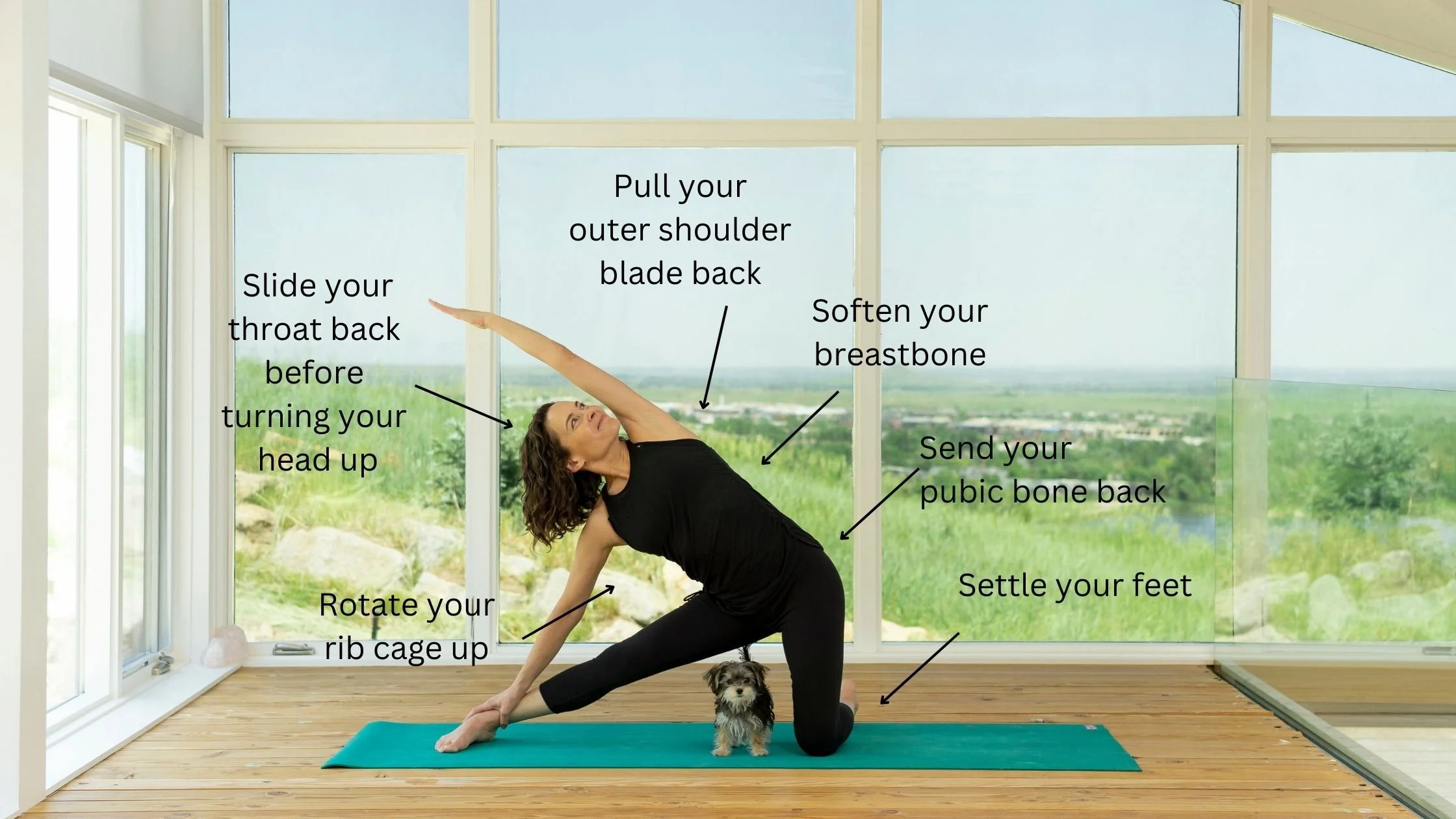 blog — Amy IPPOLITI YOGA