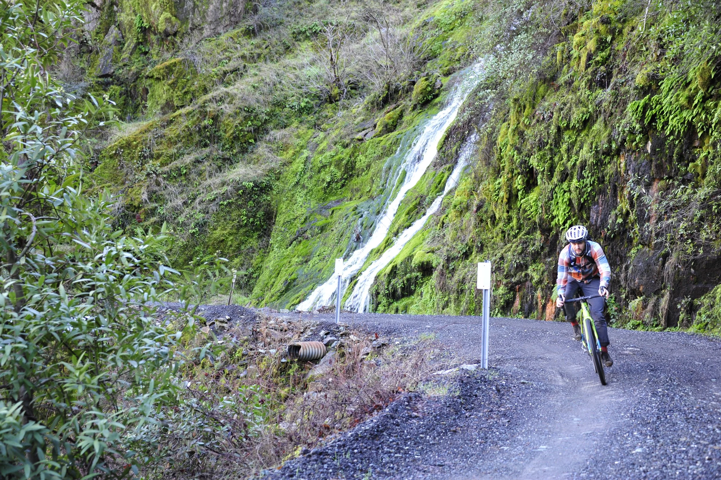 Boundless Locomotion