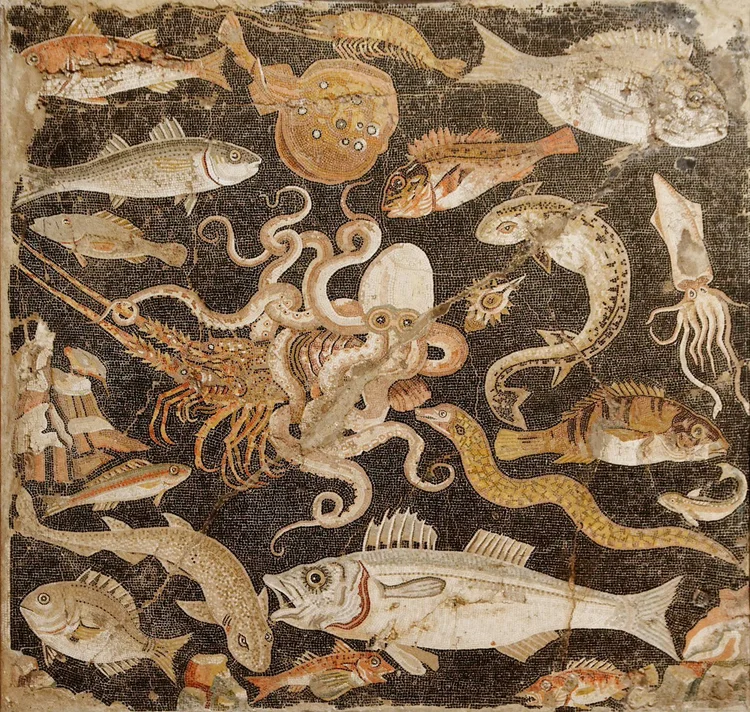 Garum and the Roman World: the fish sauce that helped to build an ...