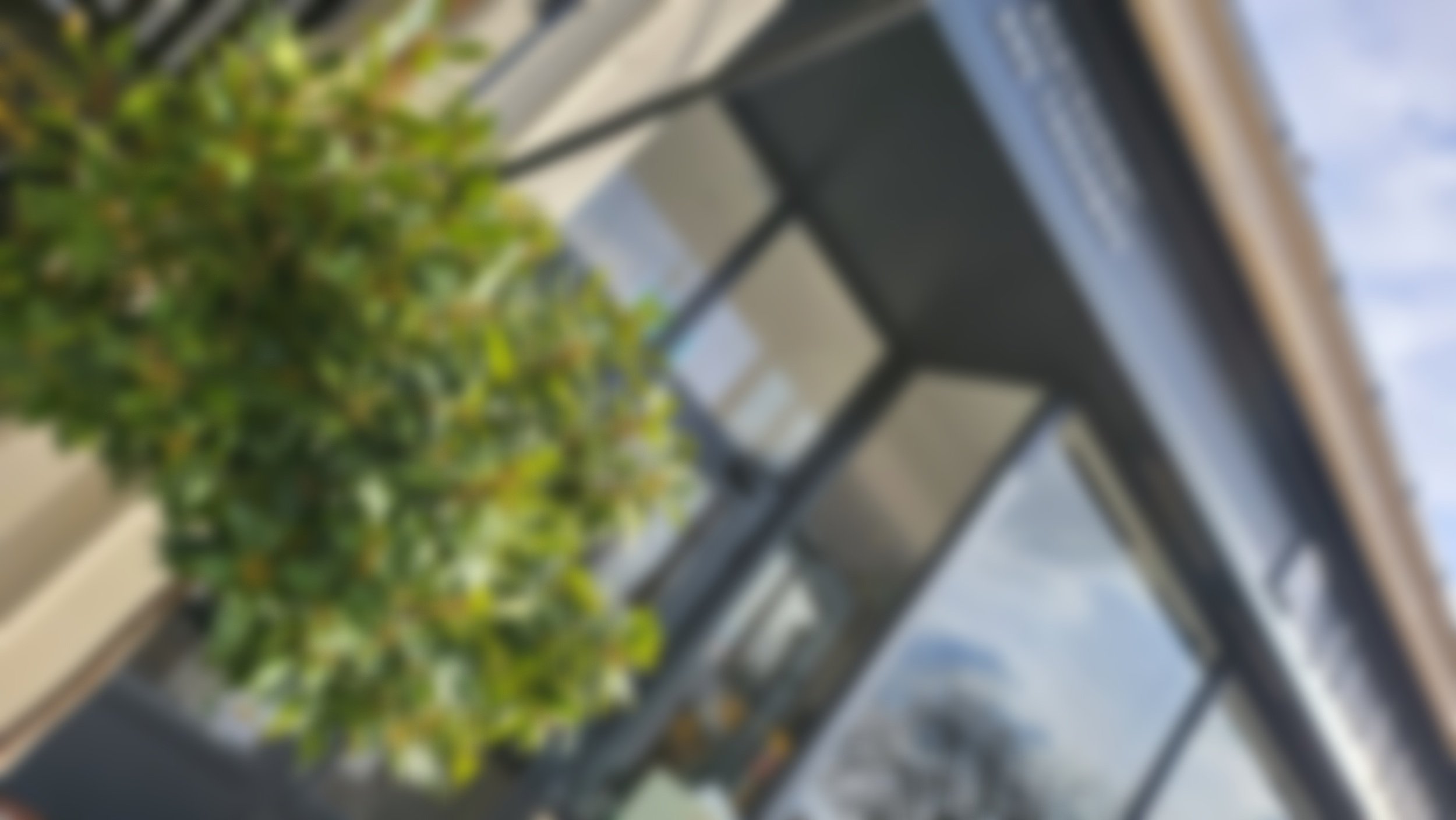 Cheltenham — The Chip Shed | Fish and Chips