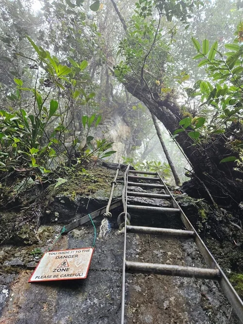 Hiking Mulu Pinnacles: The Complete Guide To Trekking These Tough Peaks ...