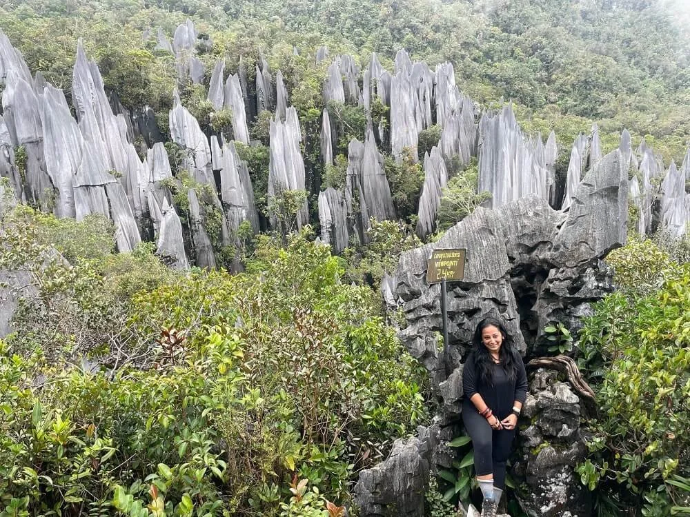 some of us who reached the top of mulu pinnacles