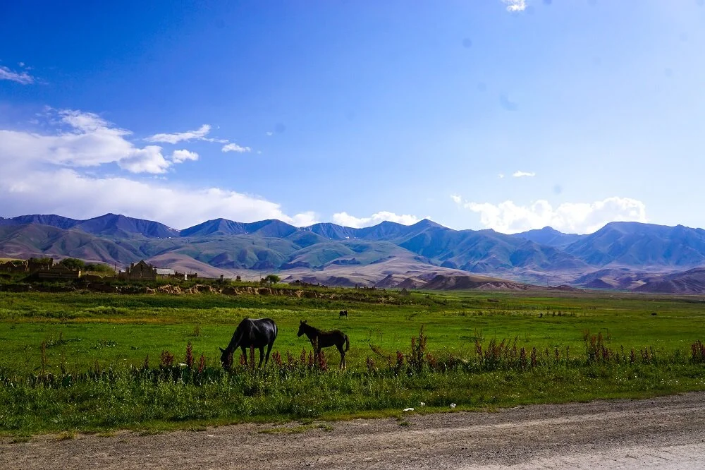 Living With The Nomads At Song-Kul Lake, Kyrgyzstan: A Travel Guide ...