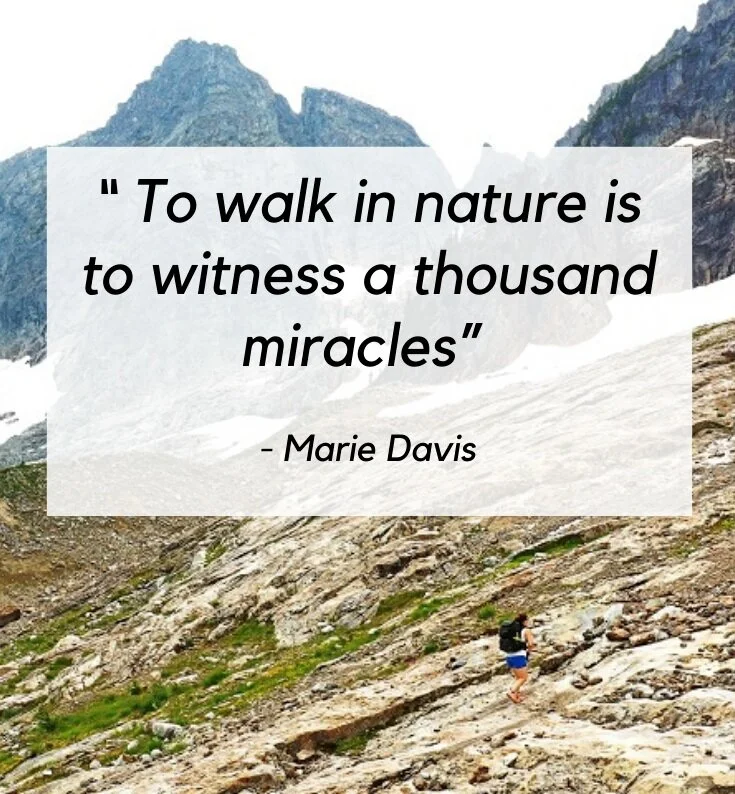 27 Best Hiking Quotes From Inspiring & Outdoorsy Storytellers — The ...