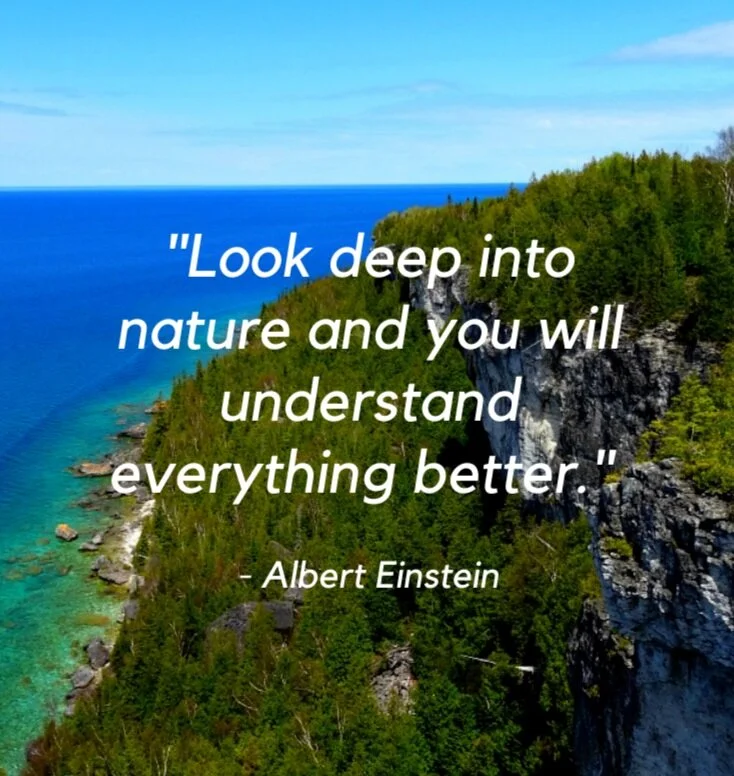 27 Best Hiking Quotes From Inspiring & Outdoorsy Storytellers — The ...